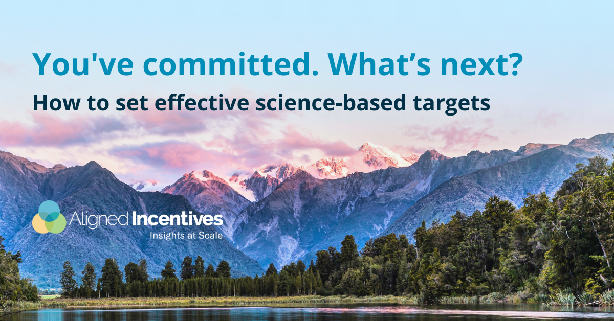 Measure twice, cut once: How to set effective science-based targets ...
