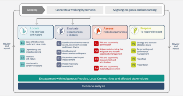 Understanding TNFD and SBTN: Corporate nature and biodiversity frameworks - Aligned Incentives